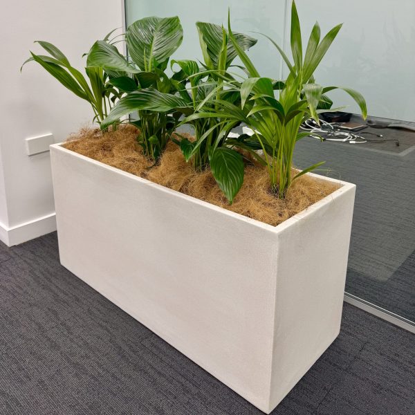 Pots and planters - Stylish pots - Top quality plant pots